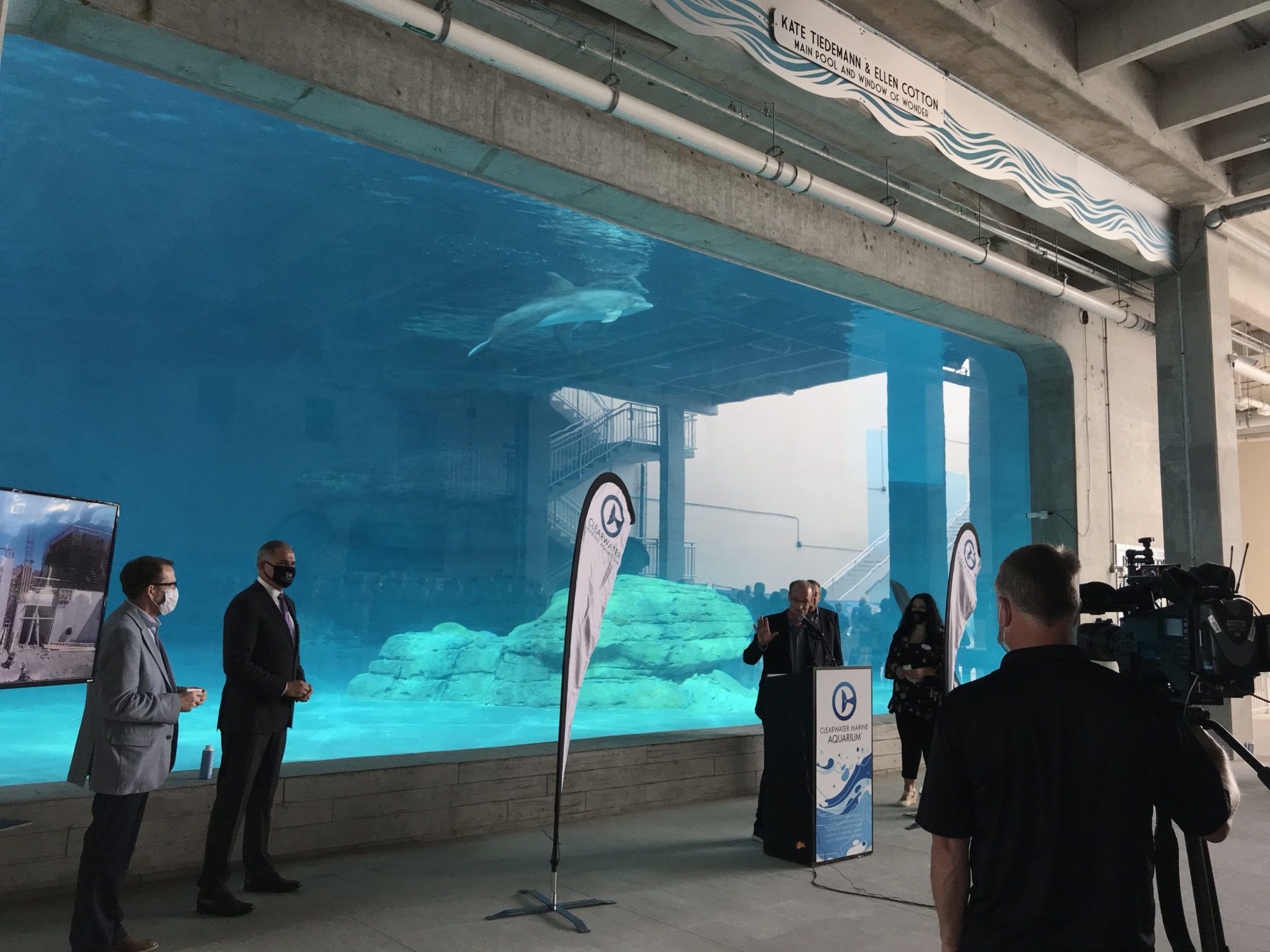 Clearwater Marine Aquarium unveils Winter the Dolphin’s new home ...