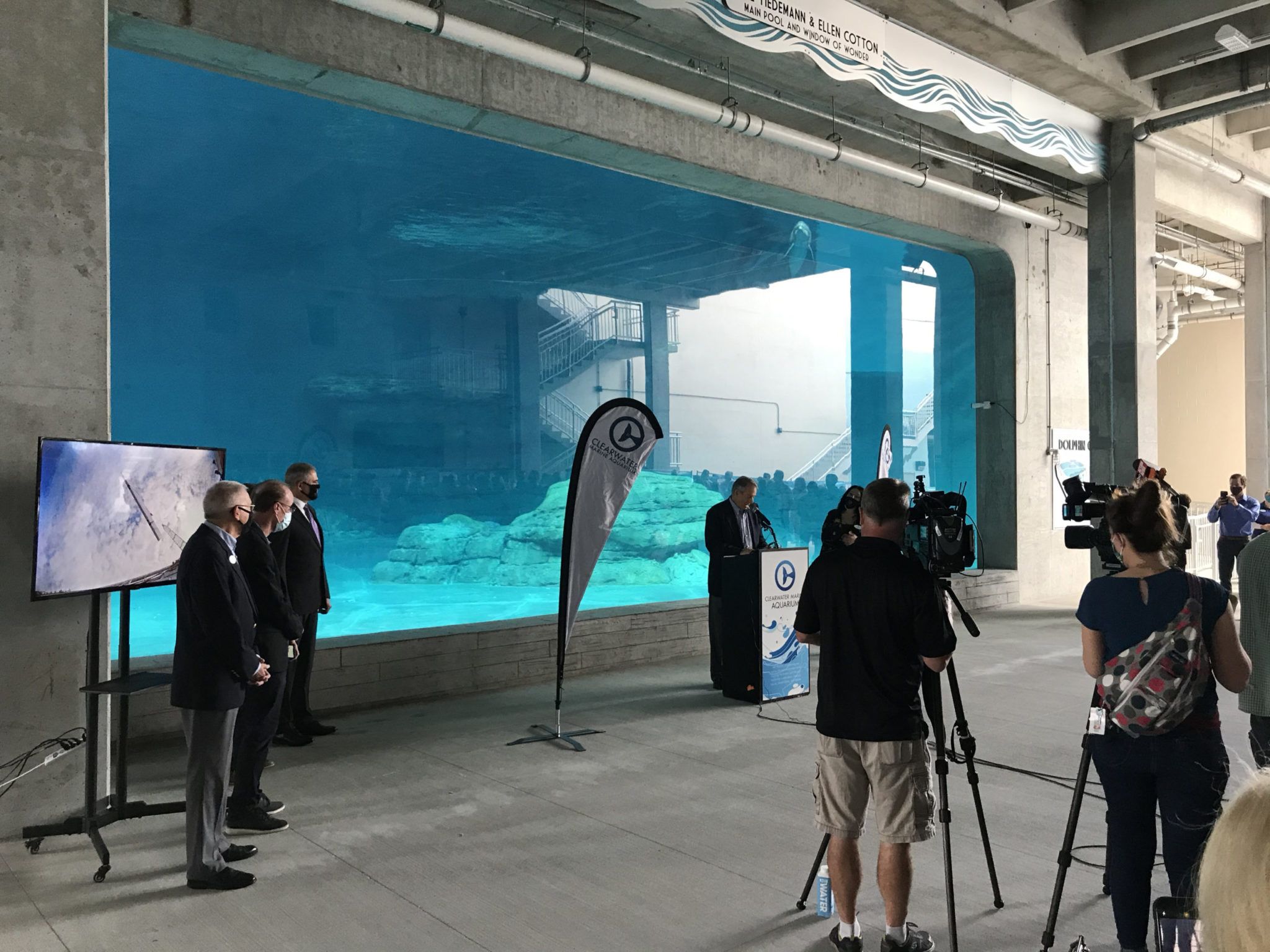 Clearwater Marine Aquarium unveils Winter the Dolphin’s new home ...