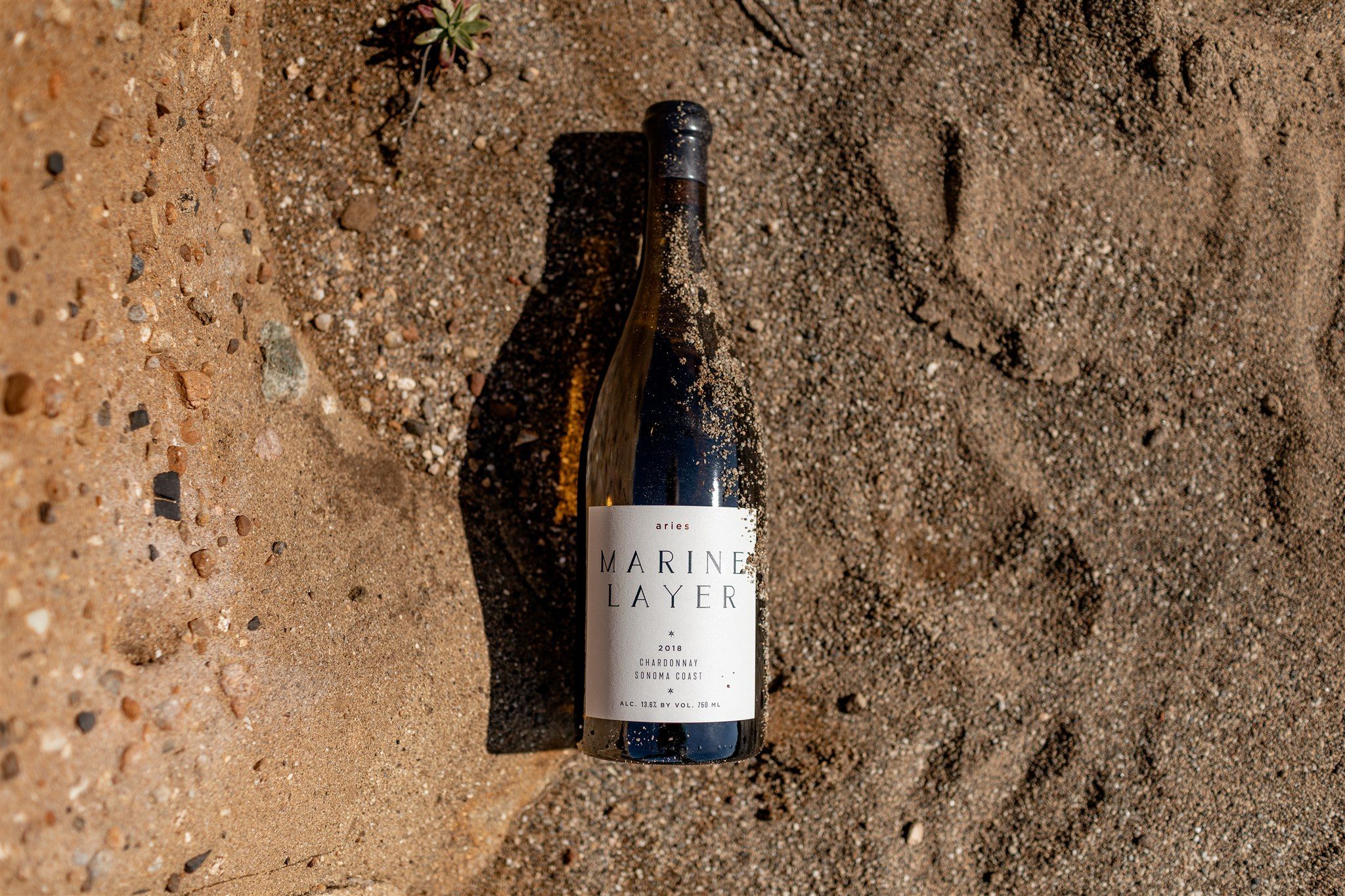 The Good Life: Green Spoon Co. and Marine Layer Wines - Tampa Bay ...