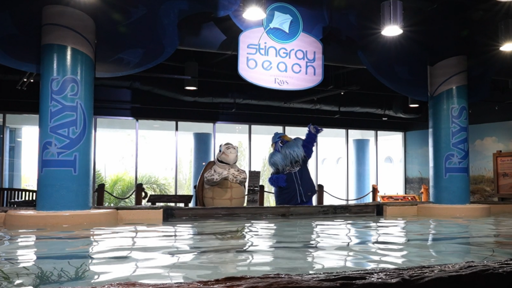 The Florida Aquarium reveals updated exhibit sponsored by the Tampa Bay ...