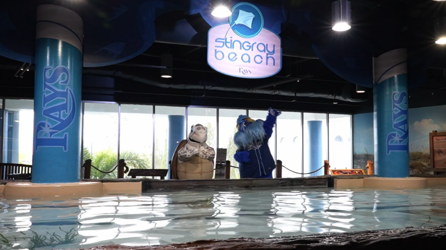 The Florida Aquarium reveals updated exhibit sponsored by the Tampa Bay ...