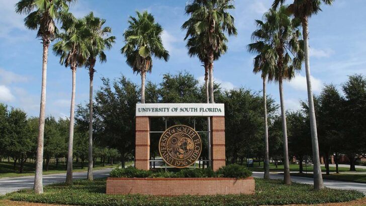 Michael Kelly departs USF for Navy athletic director role - Tampa Bay ...