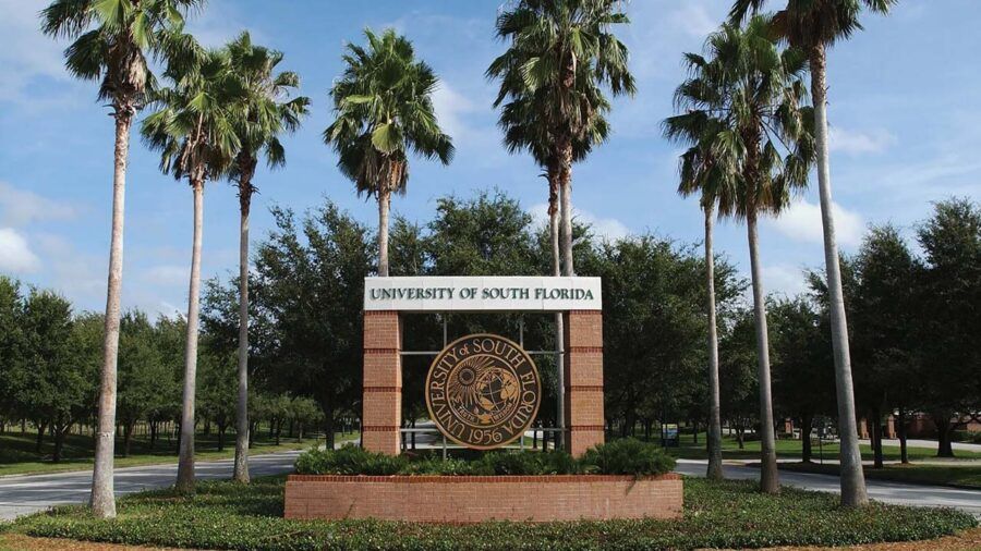 USF Alumni Association announces 2025 award recipients - Tampa Bay ...