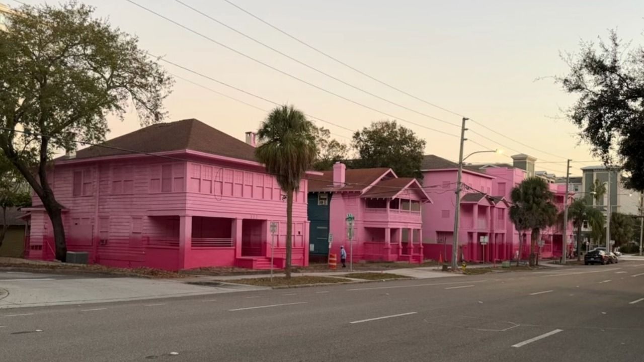 Pink-painted buildings mark next step for Roche Bobois tower | TBBW